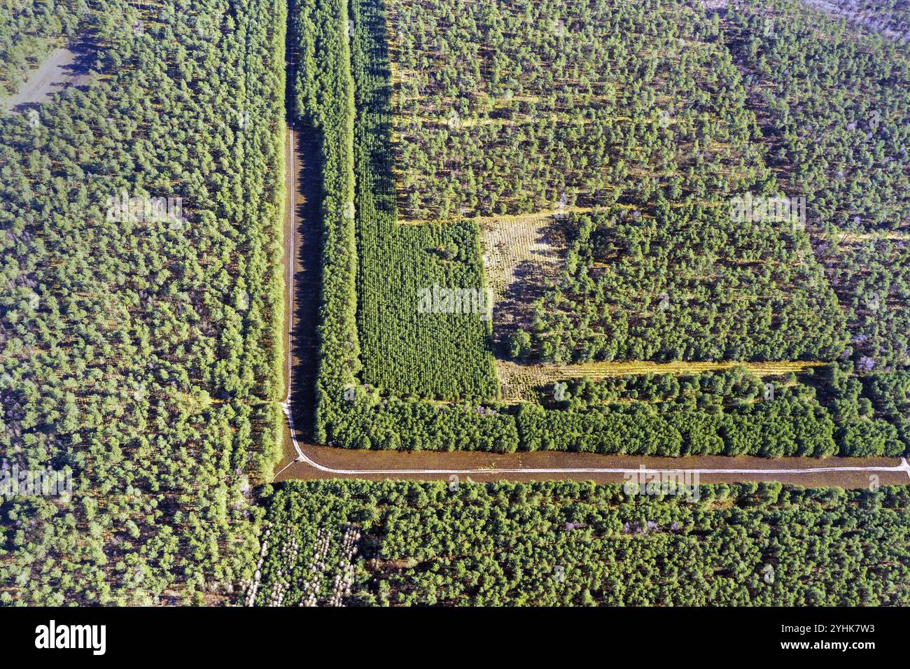 Grenz Knick, Grosser Grenzknick, Gartenschlaeger Knick, border, inner ...