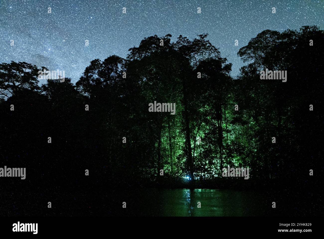 Scientific prospecting at night in the Amazon rainforest. A glimmer of ...
