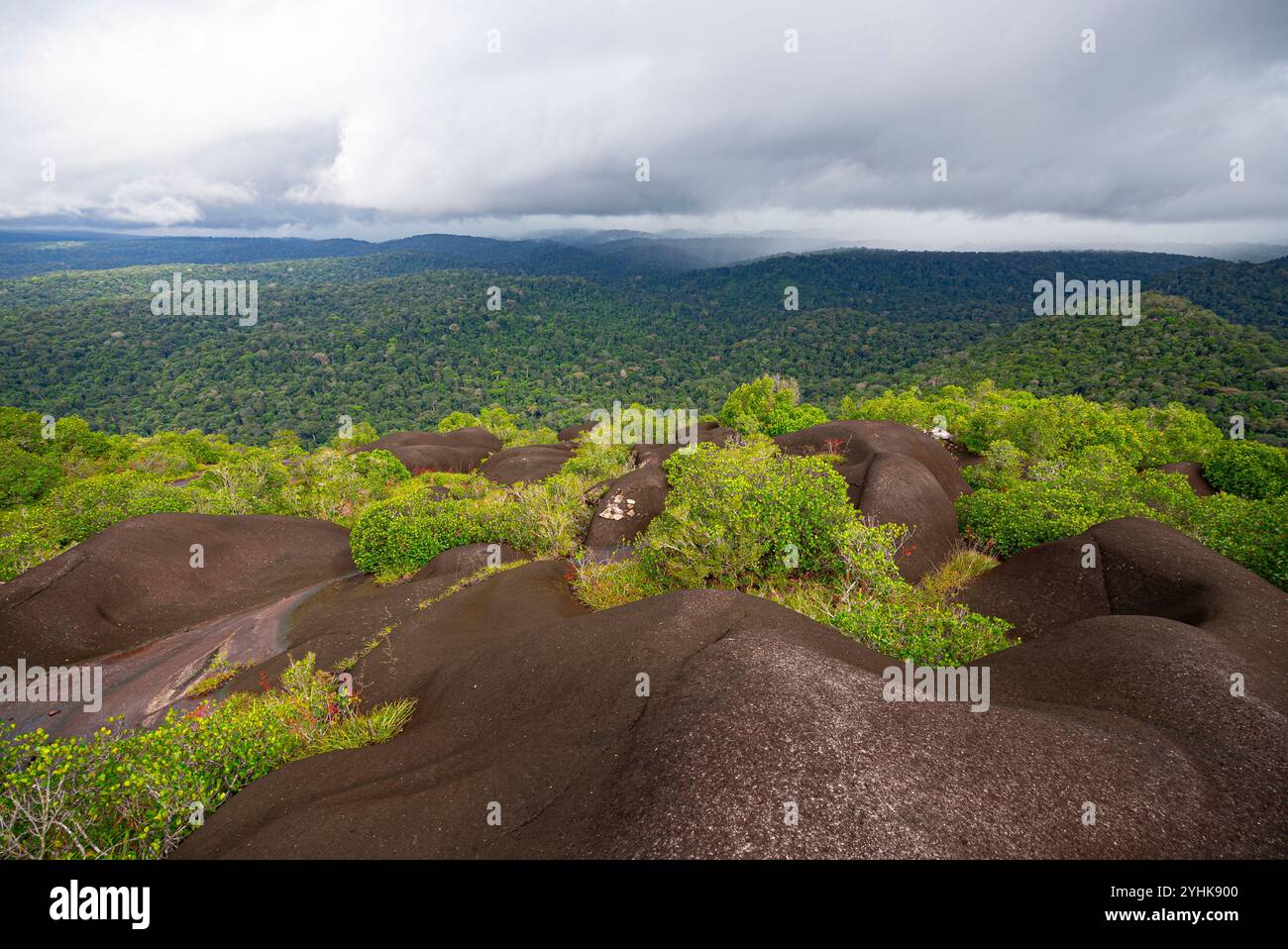 View from the Inselberg in the Nouragues nature reserve. View of the ...
