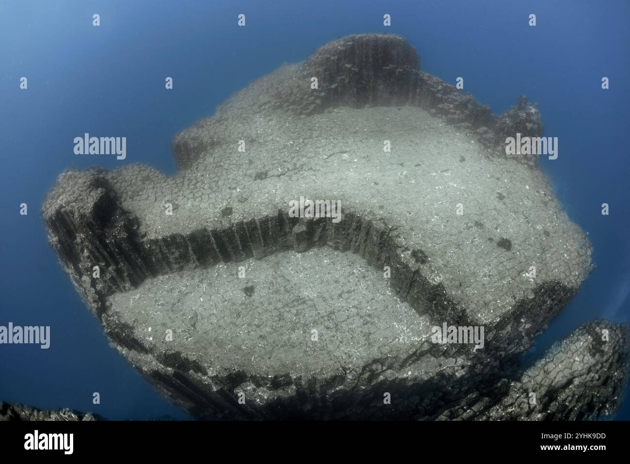 Volcanic underwater beds, Tenerife. The image shows the top of an ...