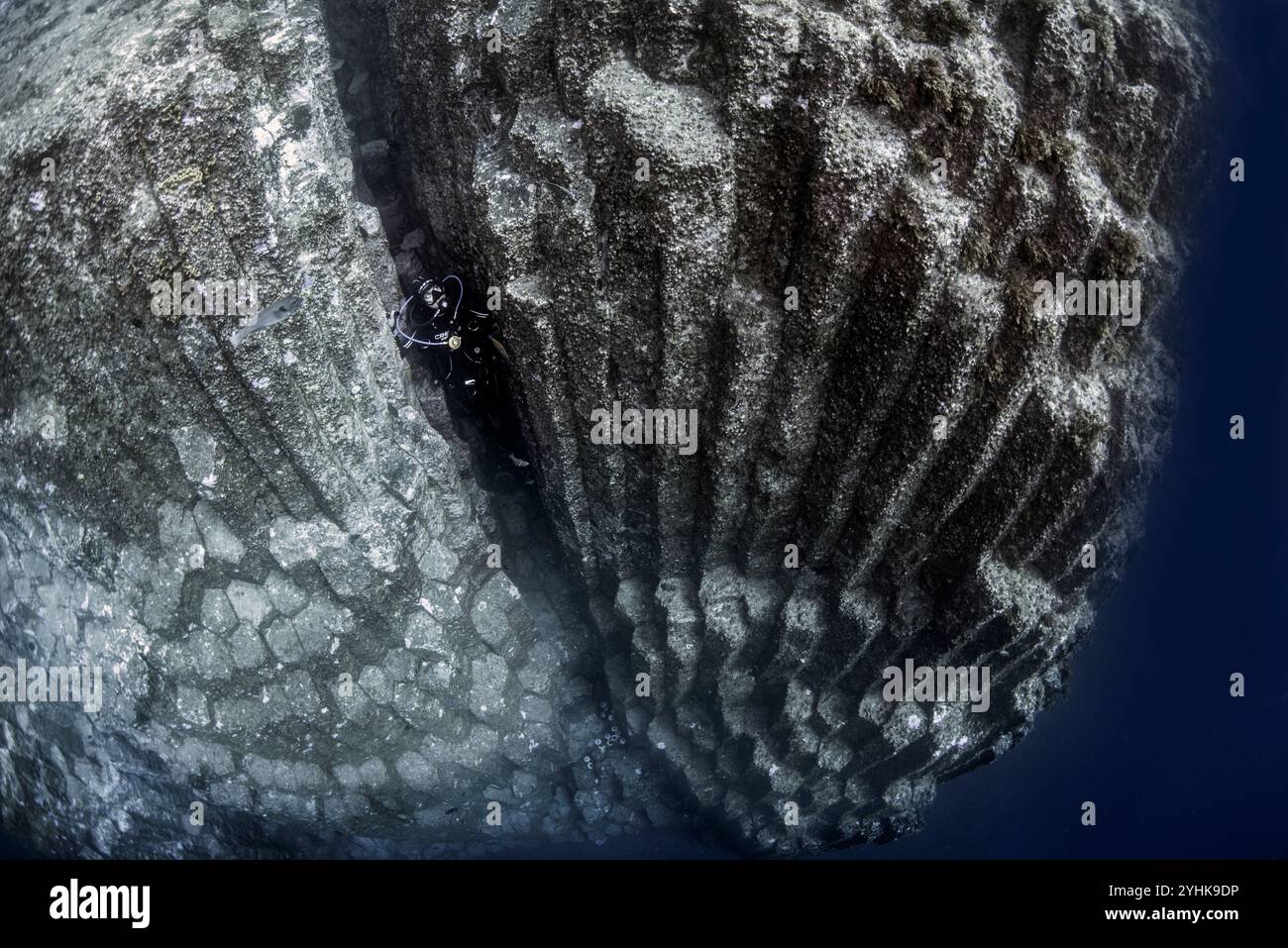Volcanic underwater bottoms. True seamounts can be seen in the image, a ...
