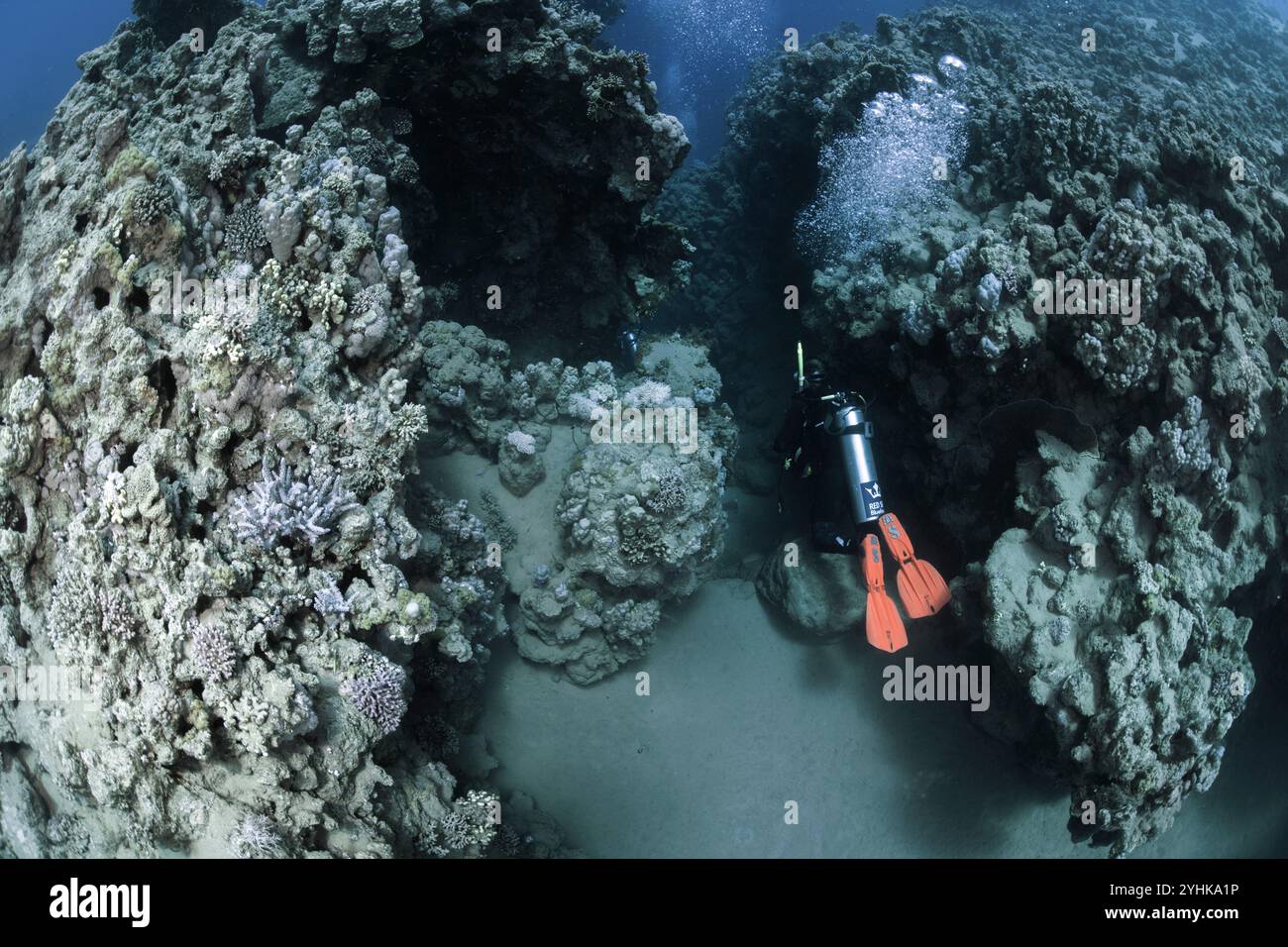 Underwater canyon, Marsa Bareika reef. Ras Muhammad National Park ...