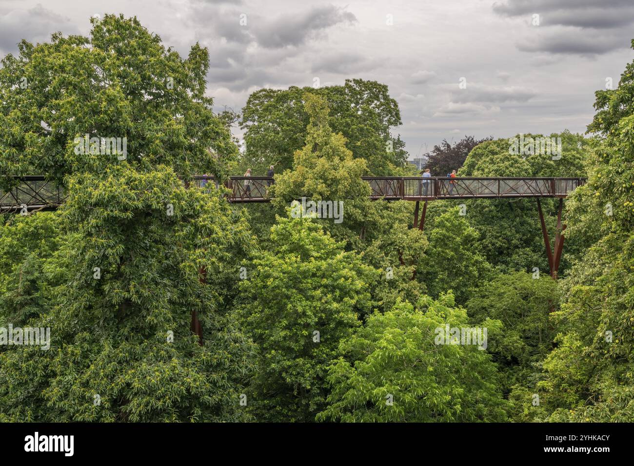 Visitors on the Treetop Walkway, steel structure, Royal Botanic Gardens ...