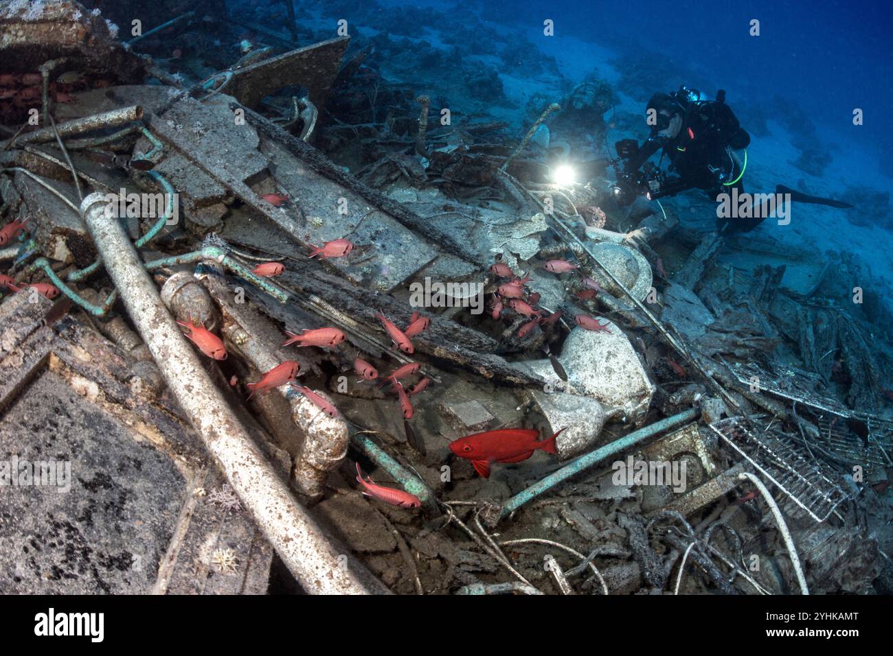 Soldierfish (Myripristis sp). Wreck, sunken ship. From the EMPEROR ...