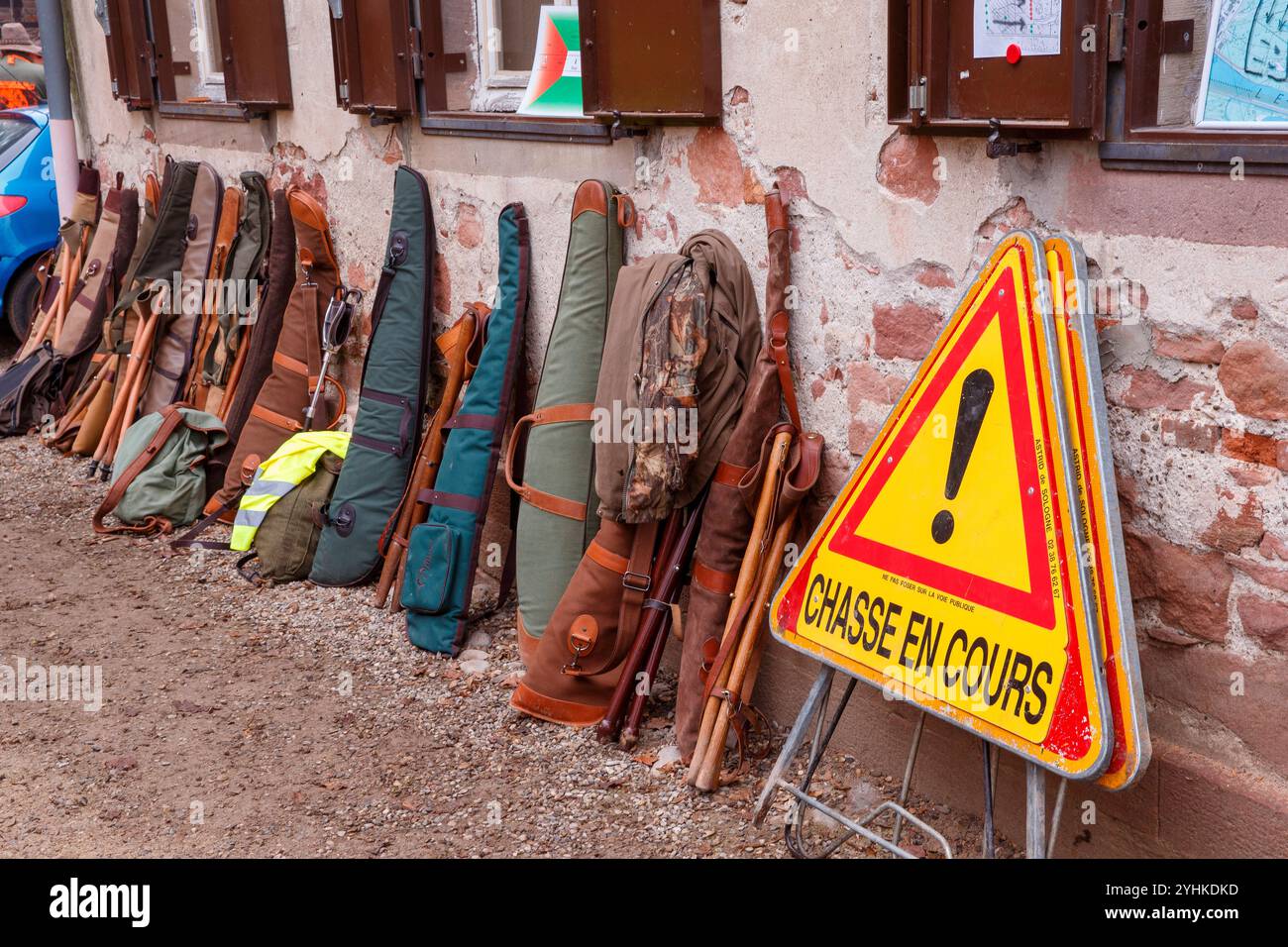 Big game hunting, rifles and hunting plan, Rhine Forest, Alsace, France ...