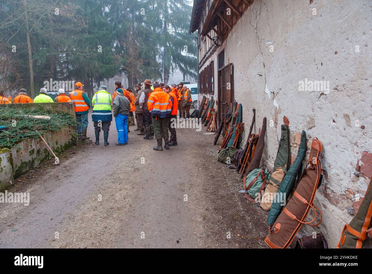 Hunting big game, instructions before hunting, Rhine forest, Alsace ...