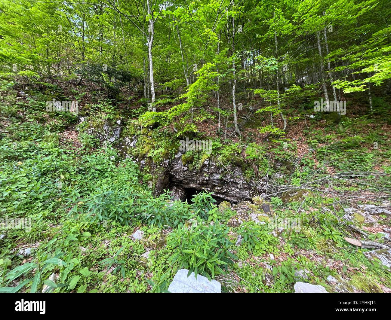 Volcja Jama cave, Lower Carniola, Slovenia Stock Photo - Alamy