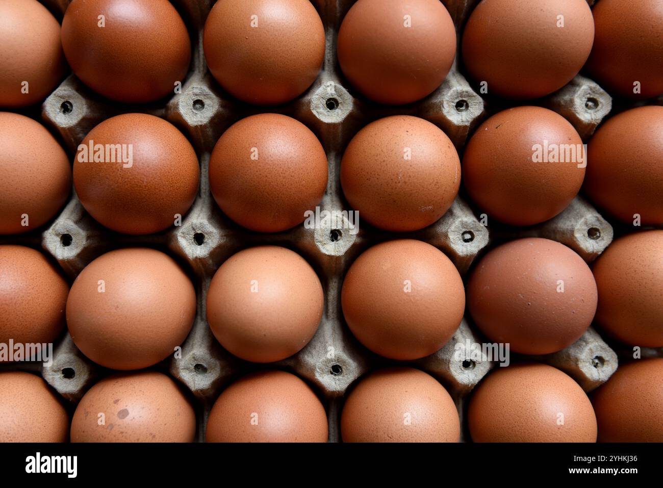 Rows of fresh brown farm raised chicken eggs in a farmers market in ...