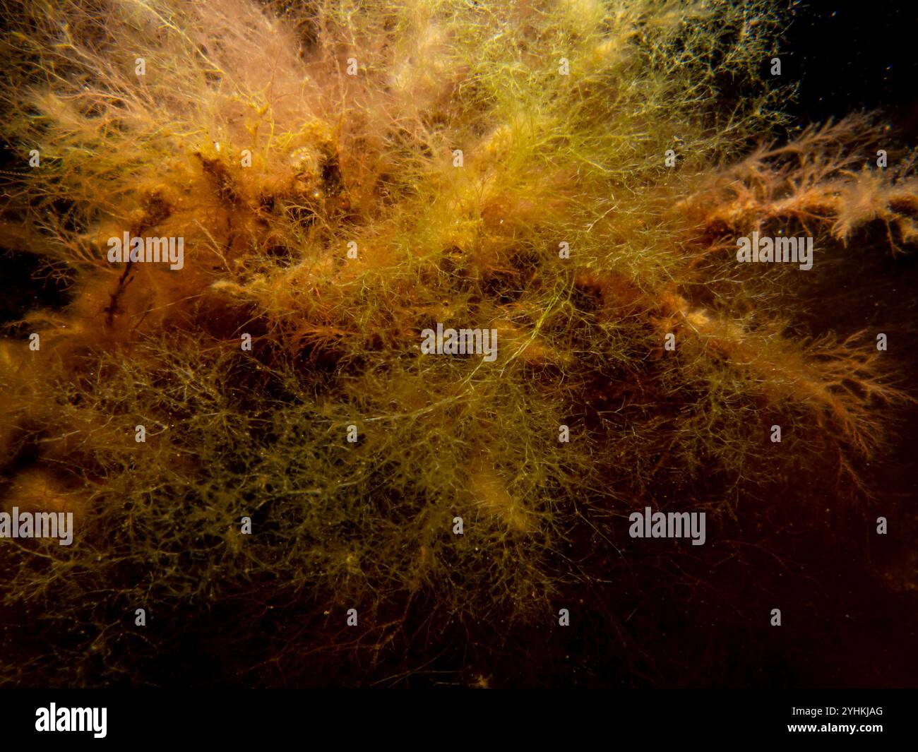 Rock is covered with names hi-res stock photography and images - Alamy