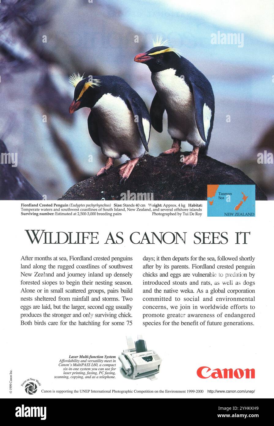 Old canon copier hi-res stock photography and images - Alamy