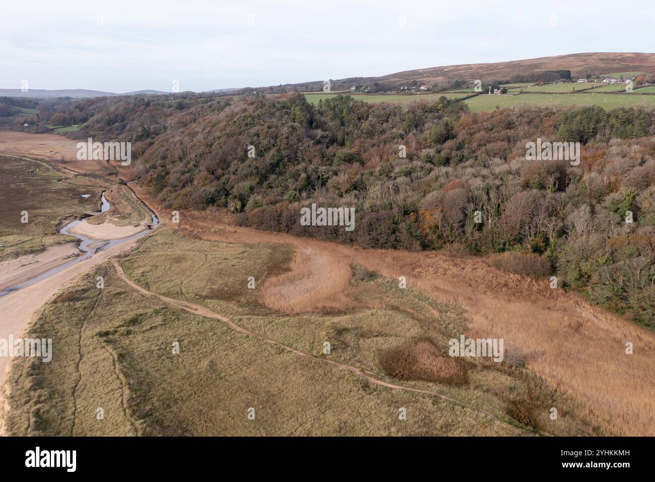 Aerial view of Nicholaston Woods, Burrows and Oxwich marsh, Gower ...