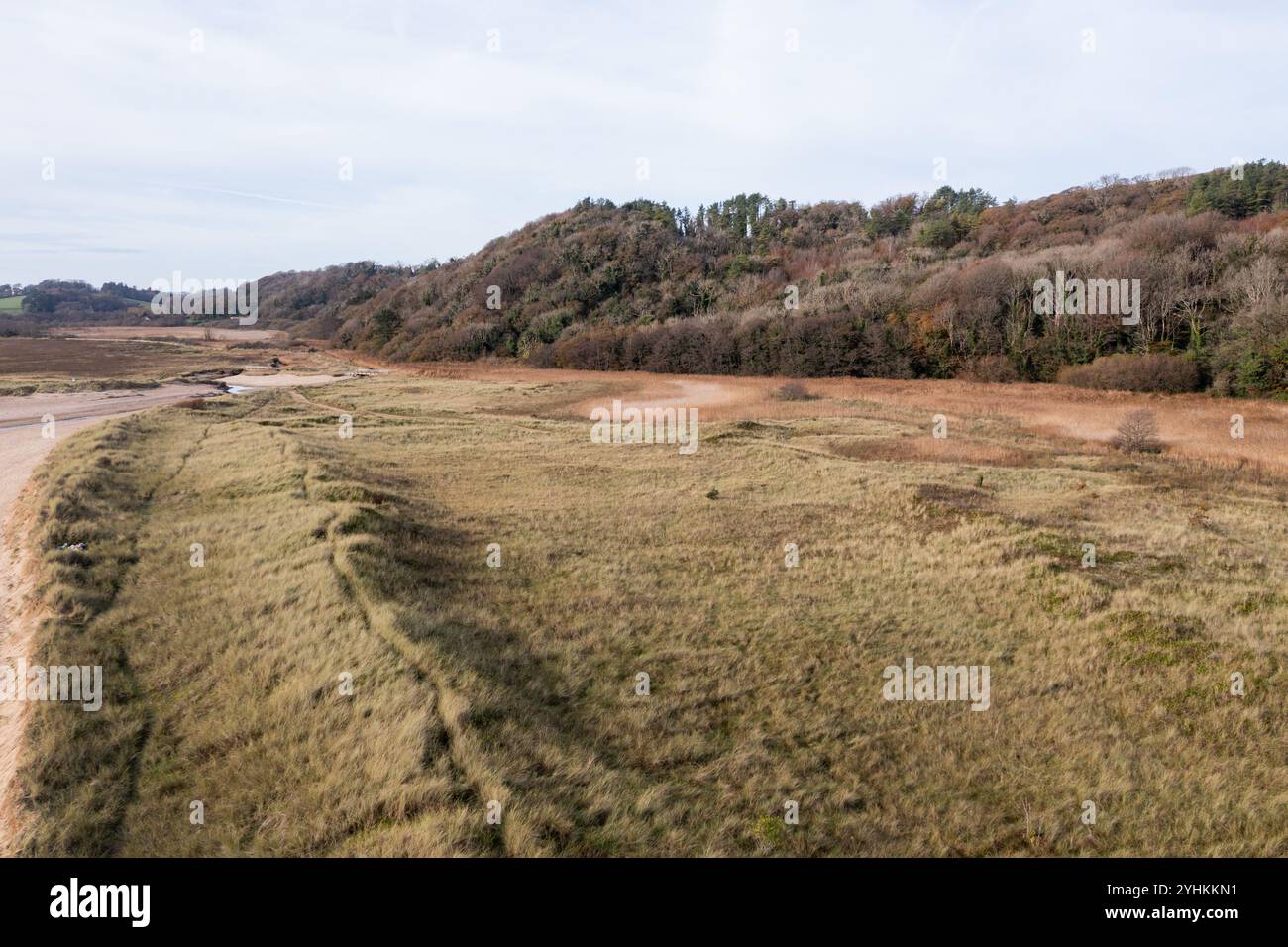 Aerial view of Nicholaston Woods, Burrows and Oxwich marsh, Gower ...