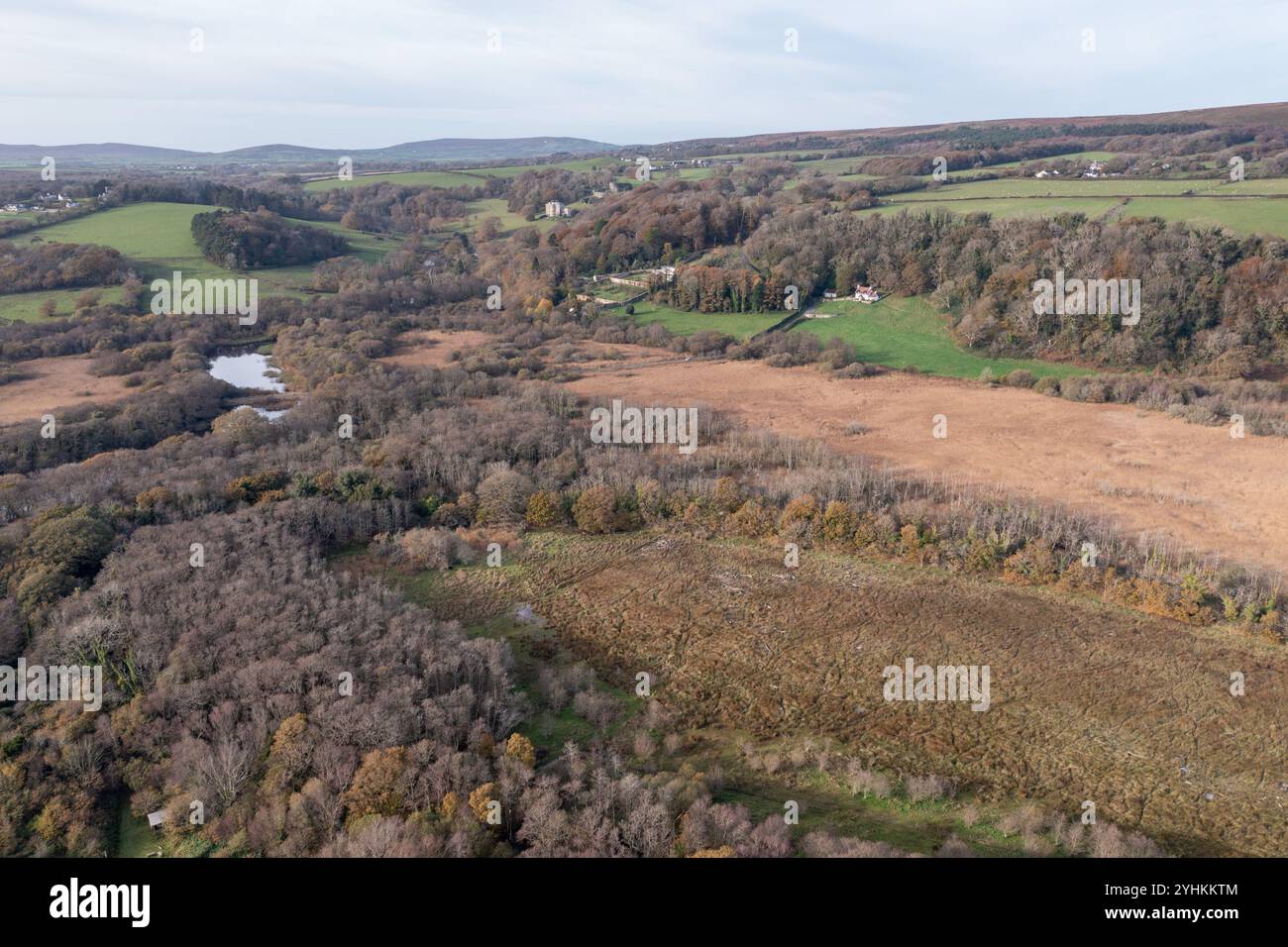 Aerial view of Nicholaston Woods, Burrows and Oxwich marsh, Gower ...