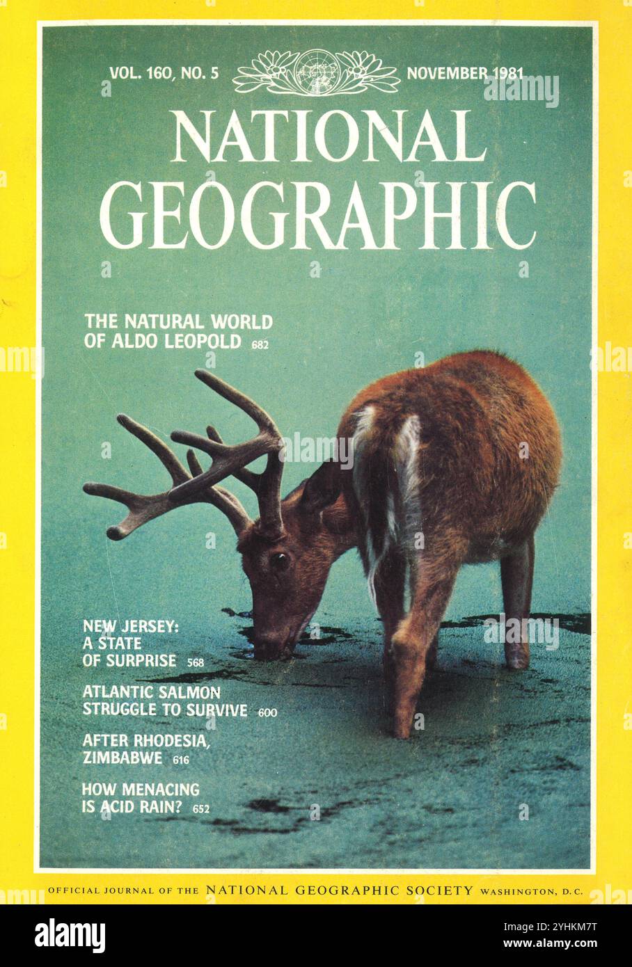 National Geographic magazine cover November 1981 Stock Photo - Alamy
