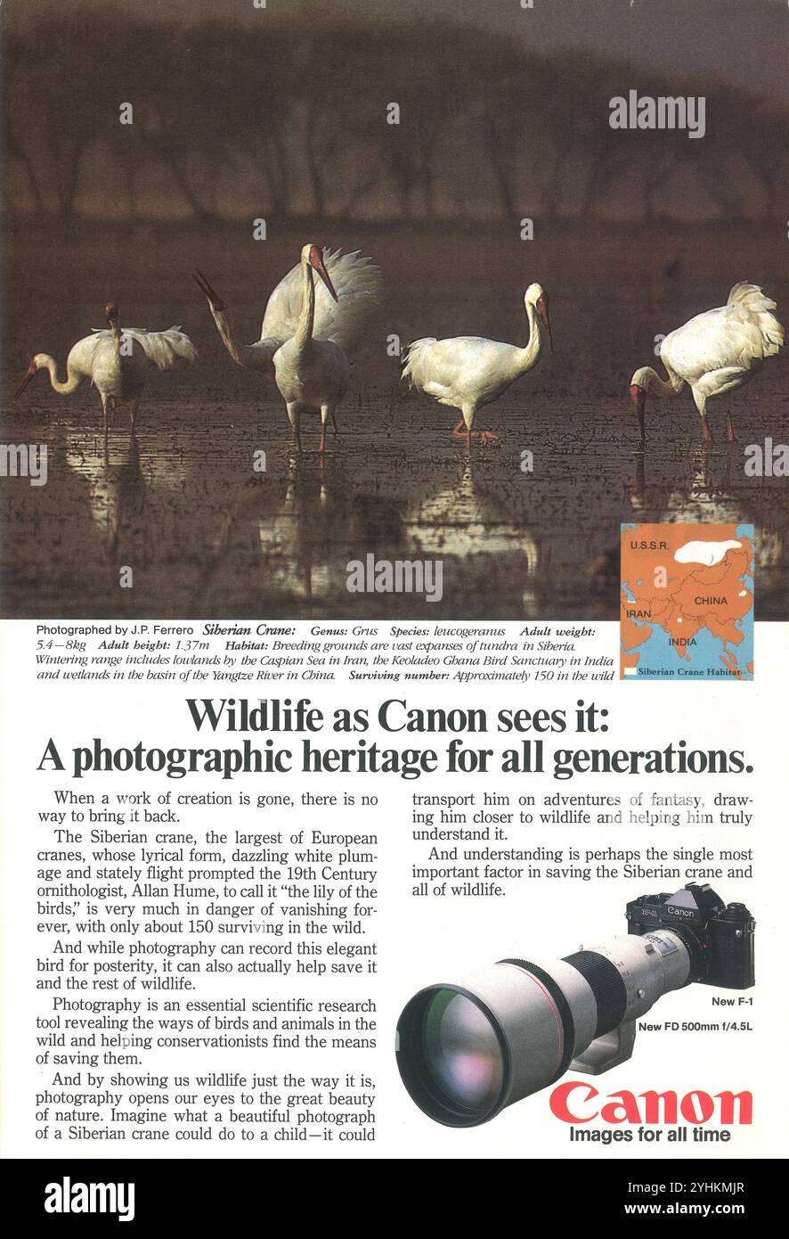 Canon advert 1980s hi-res stock photography and images - Alamy