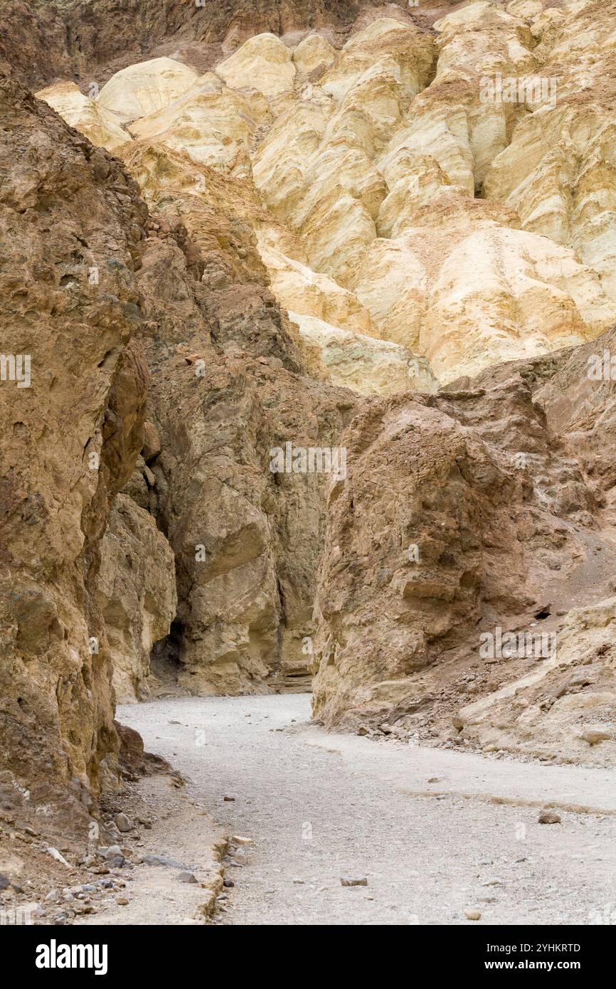 Gold mountains rising above the narrow canyon of the Gold Canyon Trail ...
