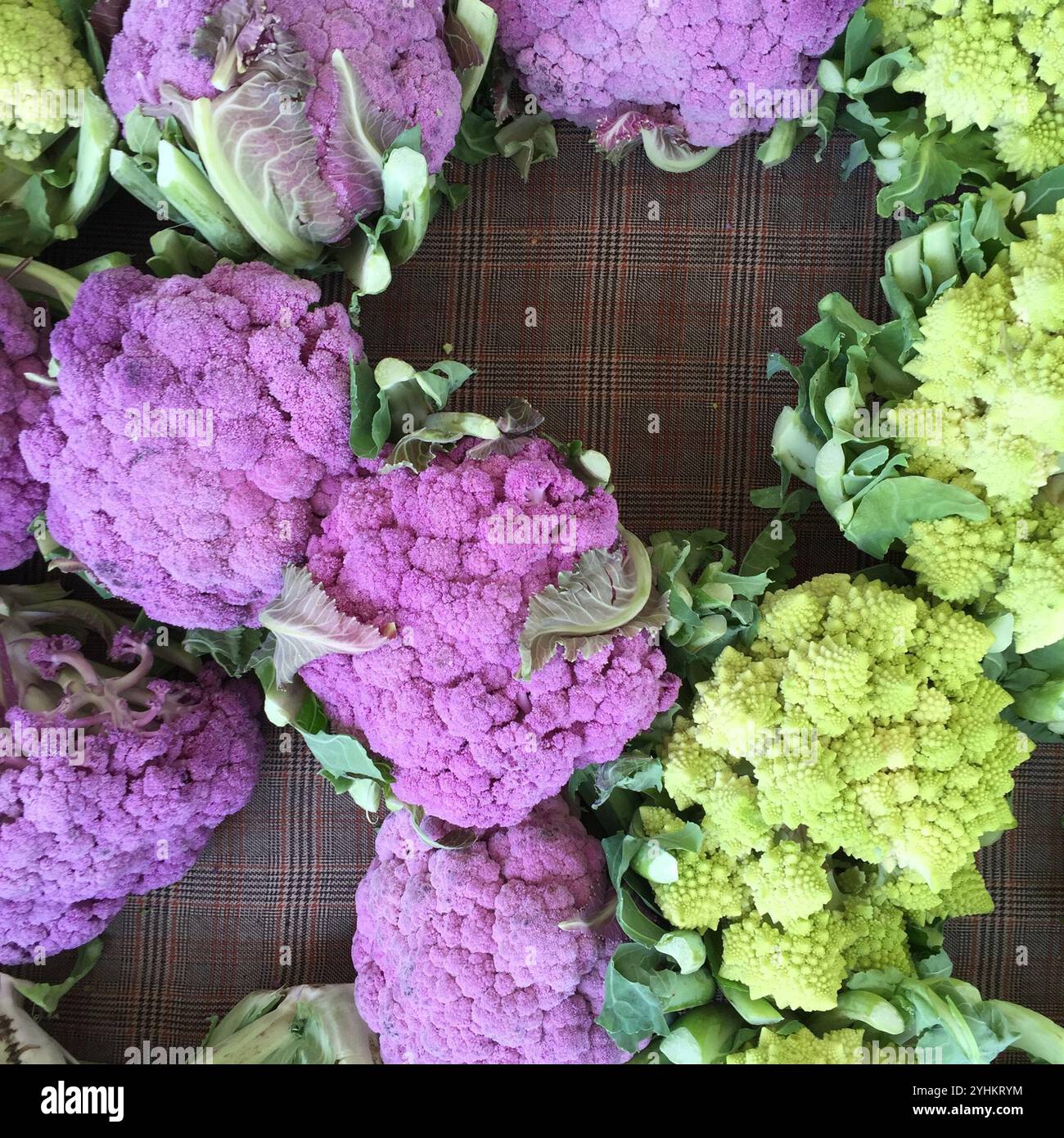 Vibrant fresh produce assortment hi-res stock photography and images ...