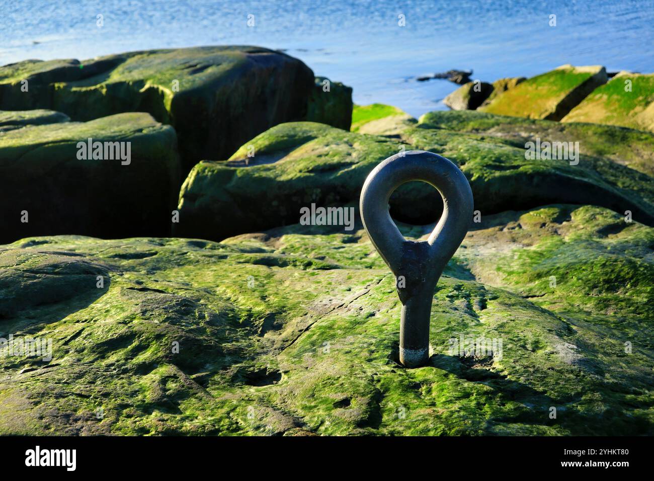 Iron mooring ring cast in seaside seaweed covered granite rock during ...