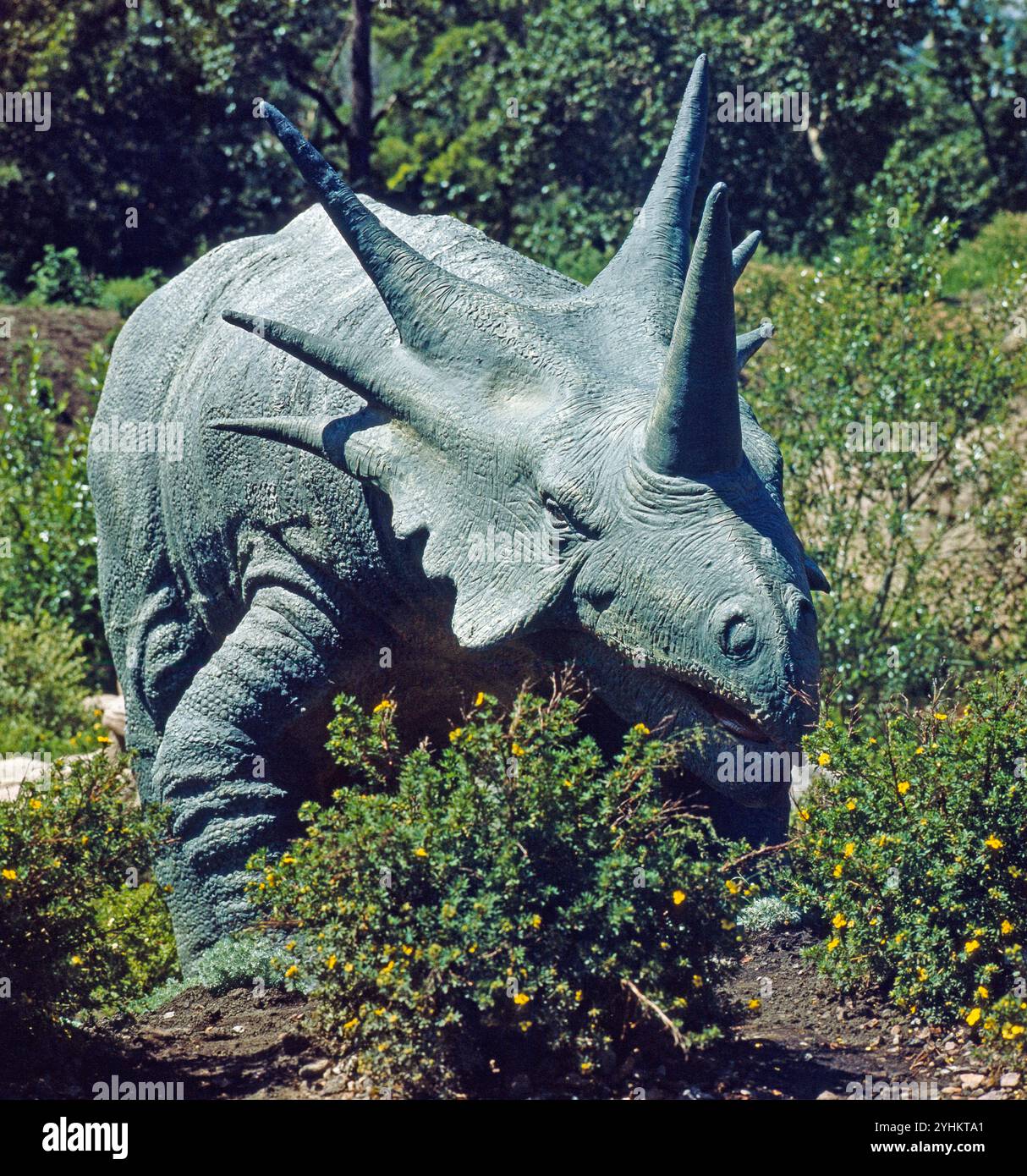 Styracosaurus, ein Hornsaurier der Kreidezeit, lebte vor 80 Millionen ...