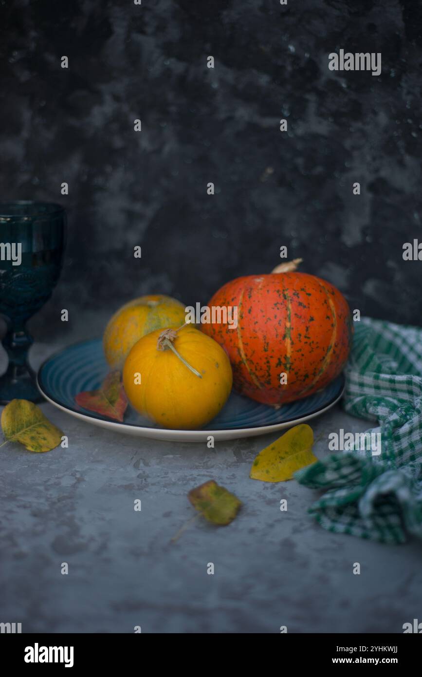 autumn still life pumpkin in dramatic style Stock Photo - Alamy