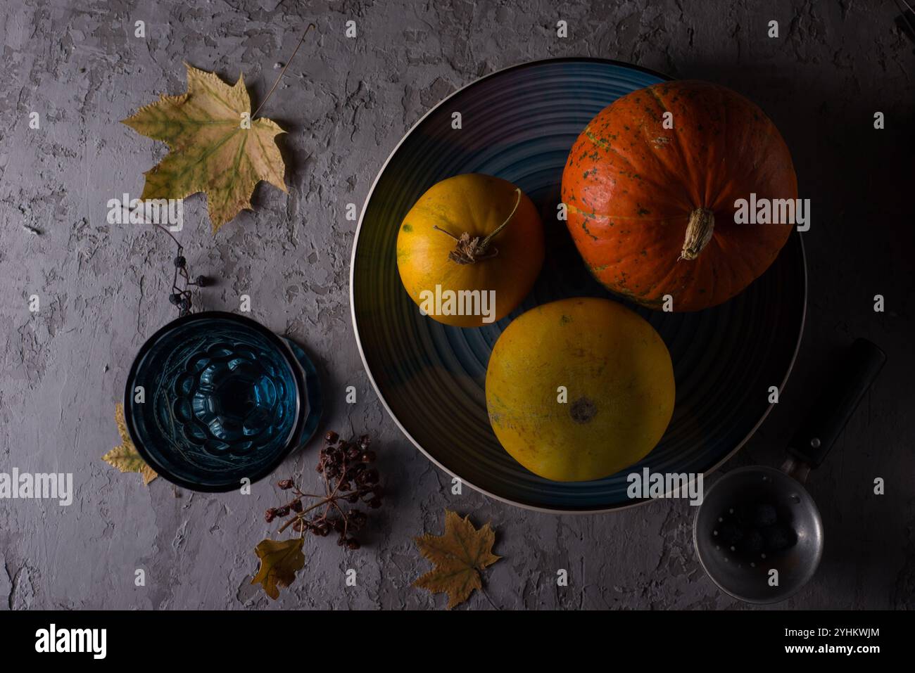 autumn still life pumpkin in dramatic style Stock Photo - Alamy