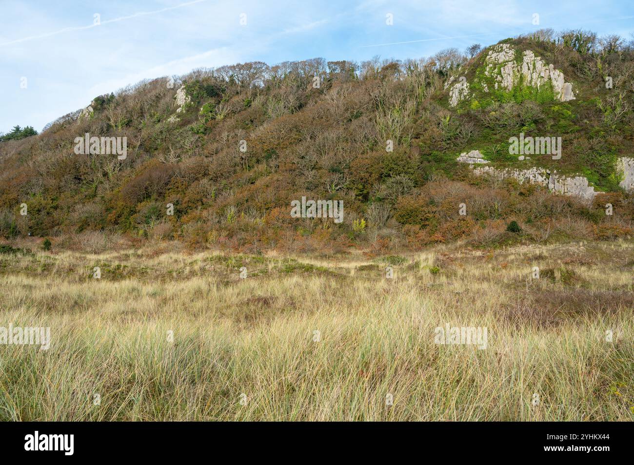 Nicholaston Woods and Burrows, Oxwich National Nature Reserve, Gower ...