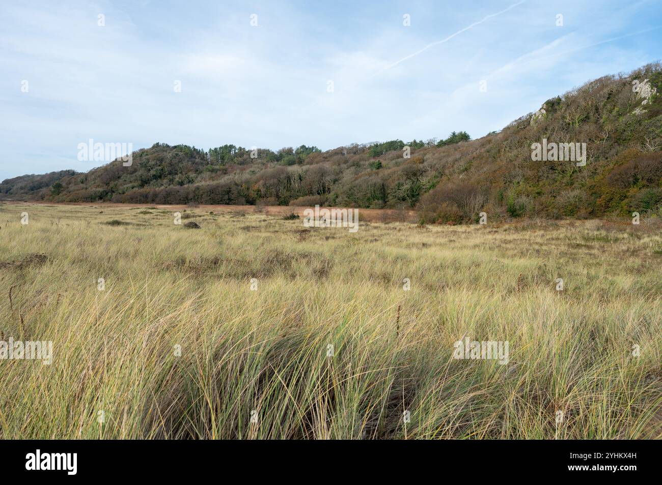 Nicholaston Woods and Burrows, Oxwich National Nature Reserve, Gower ...