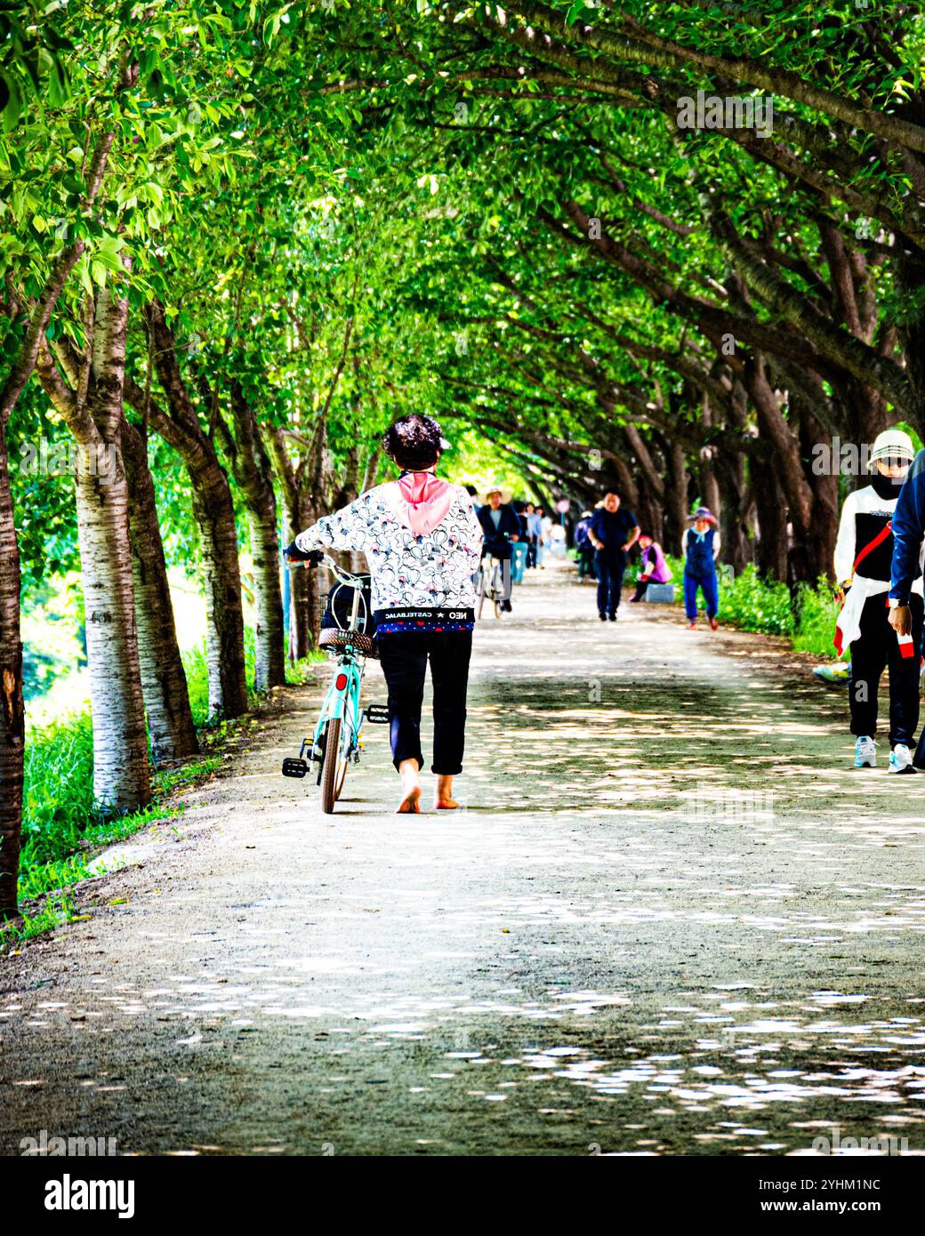 Shaded park hi-res stock photography and images - Alamy