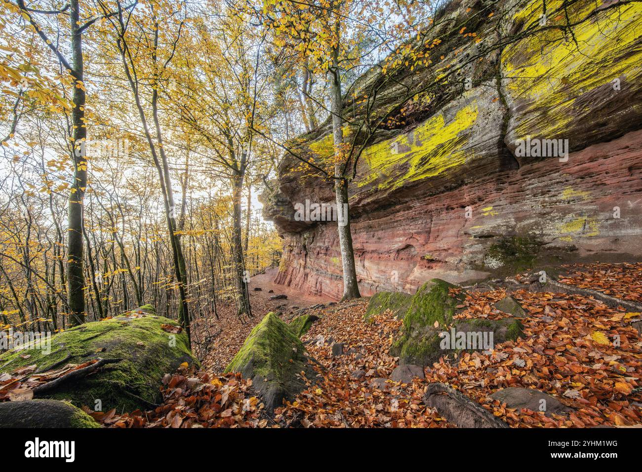 Natural site of the Altschlossfelsen, rock bar from Lorraine to ...