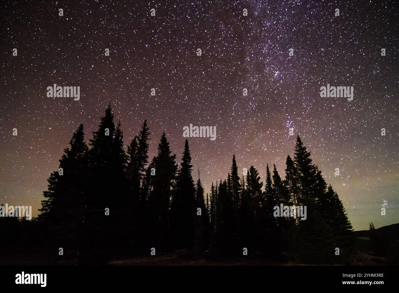 The Milky Way Galaxy extends out from a cluster of trees in the Bighorn ...
