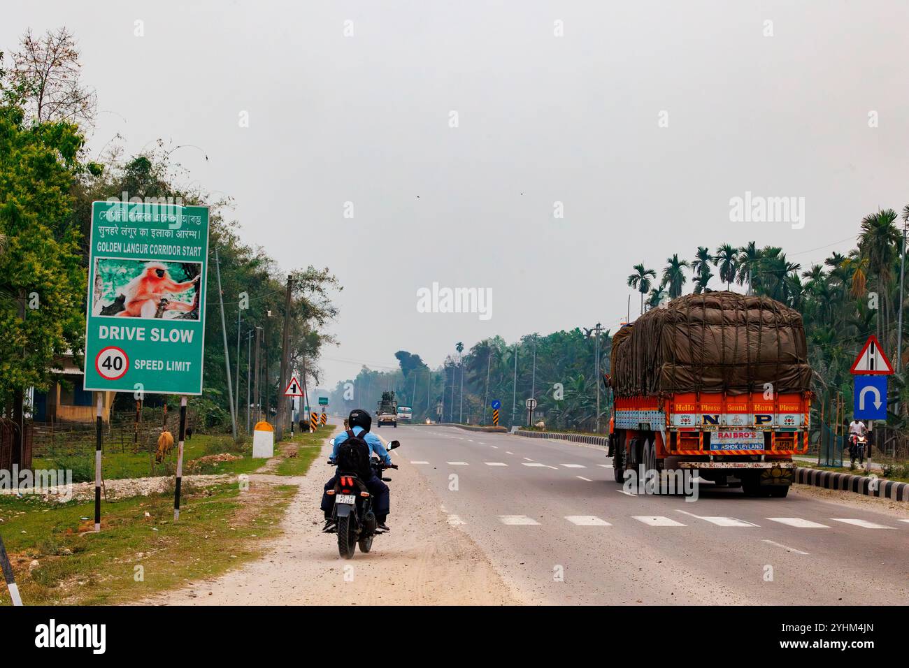 Speed limits to protect the golden entelle, golden langur or Gee's ...