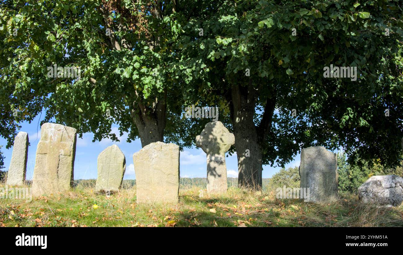 an old graveyard under a large oak tree in backlight, mystical ...