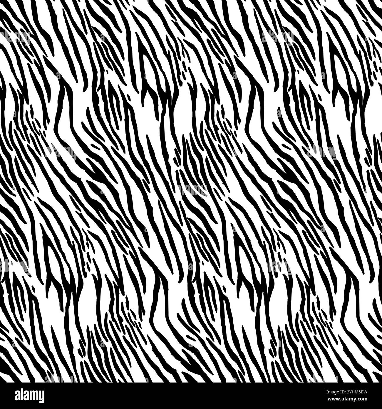 Vector striking pattern of black and white stripes, reminiscent of the ...