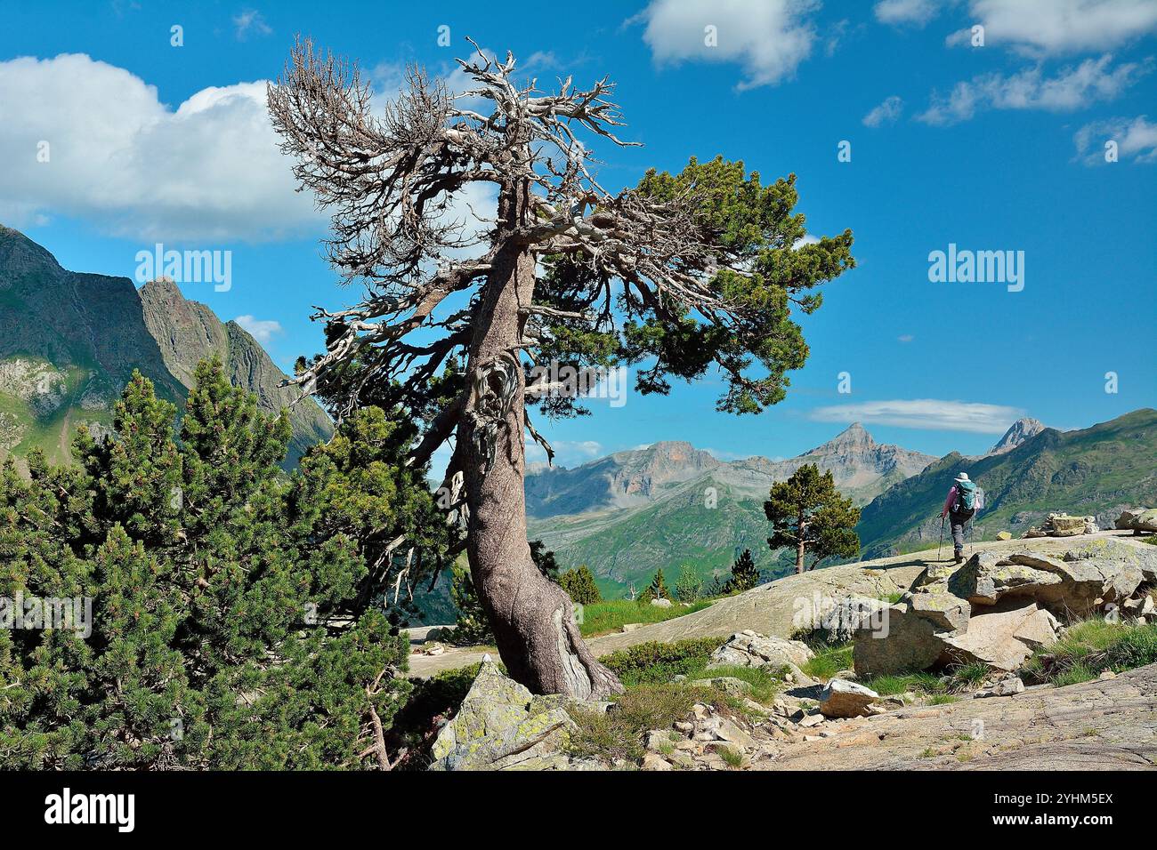 Hiking above the glacial valley of Soussoueou, Pyrenees National Park ...