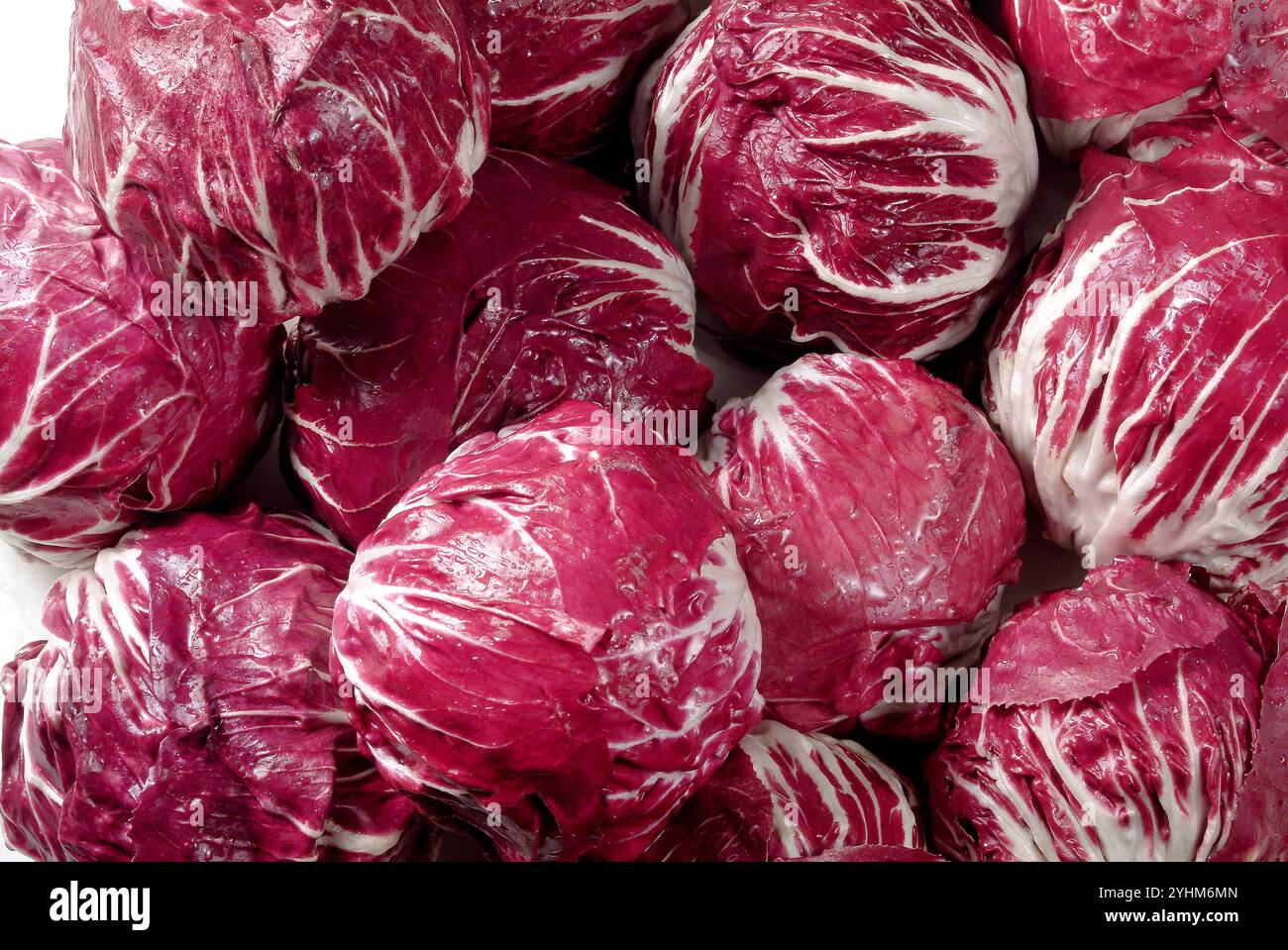 Texture of stems of red radicchio from Treviso in Italy Stock Photo - Alamy