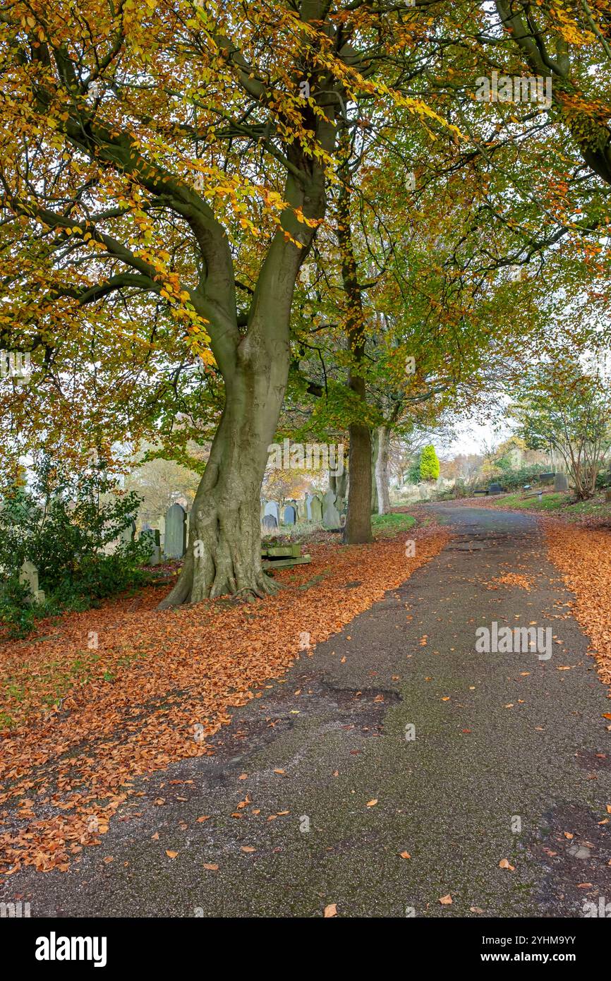 Blackburn cultural landmark hi-res stock photography and images - Alamy