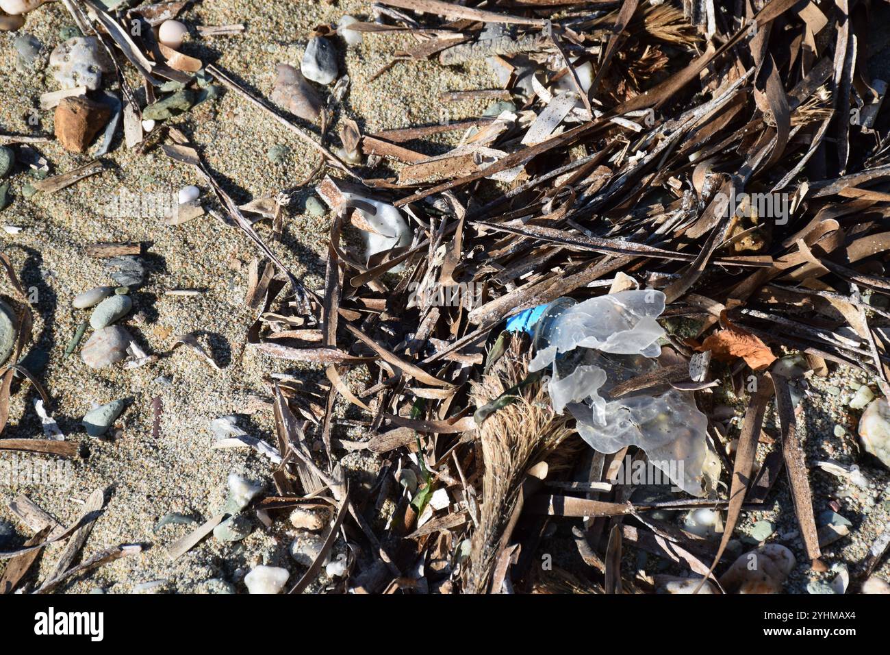 plastic waste and pollution on beaches—join the movement for cleaner ...