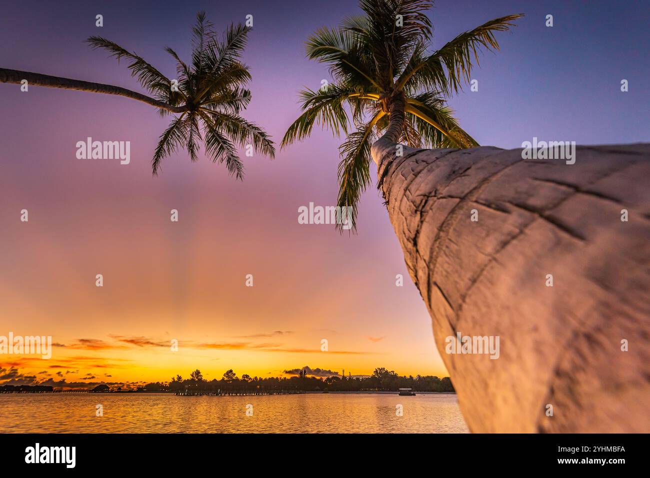 Tropical beach sunset view hi-res stock photography and images - Alamy