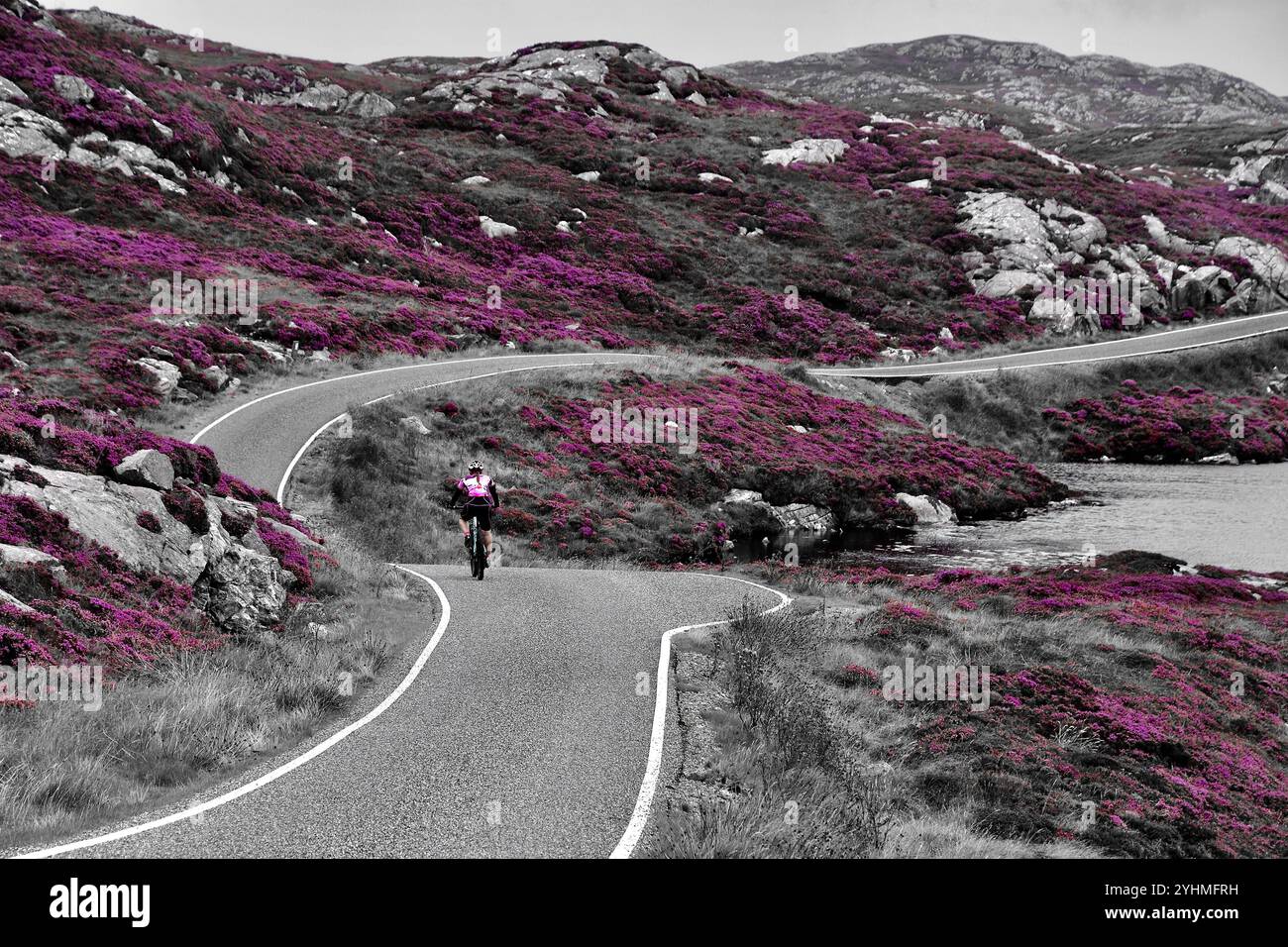 Heather harris hi-res stock photography and images - Alamy