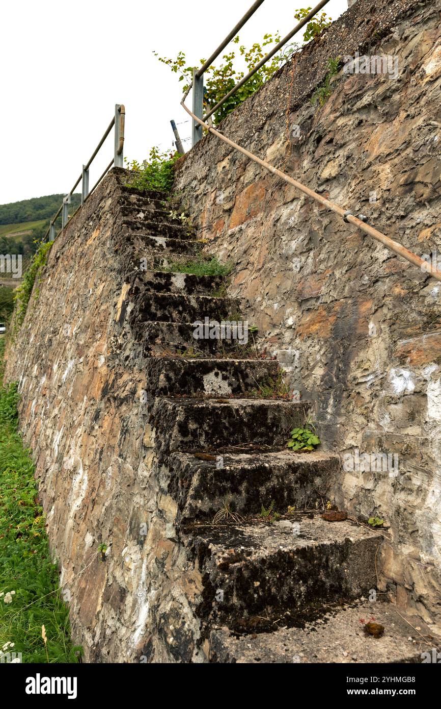 Old stone wall with stairs in the vineyards. Old brick stone wall with ...