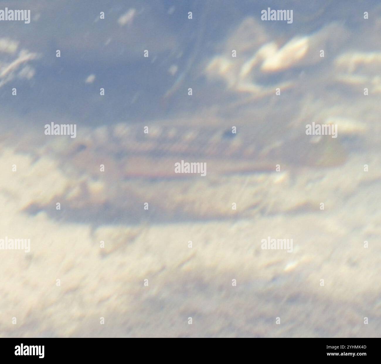 Redbelly Tilapia (Coptodon zillii Stock Photo - Alamy