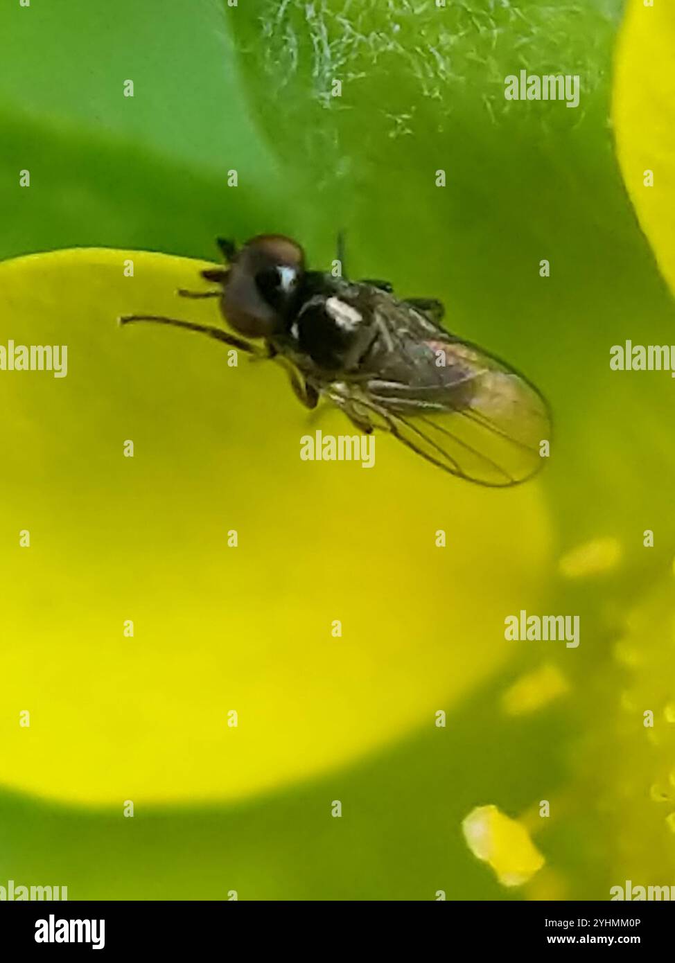 Freeloader hi-res stock photography and images - Alamy