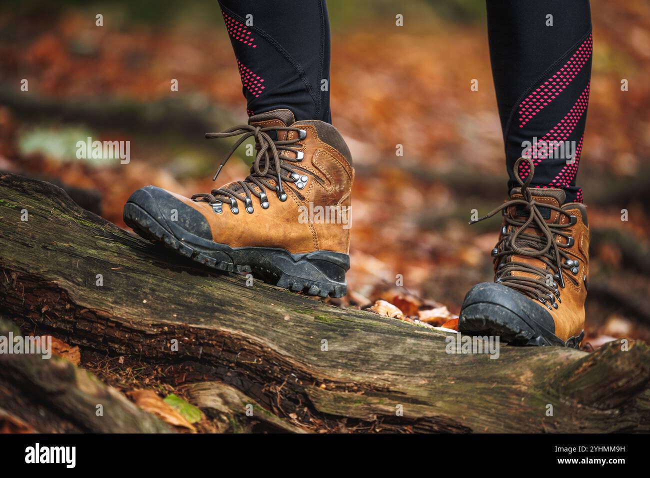 Hiking boot. Legs on mountain trail during trekking in autumn forest ...