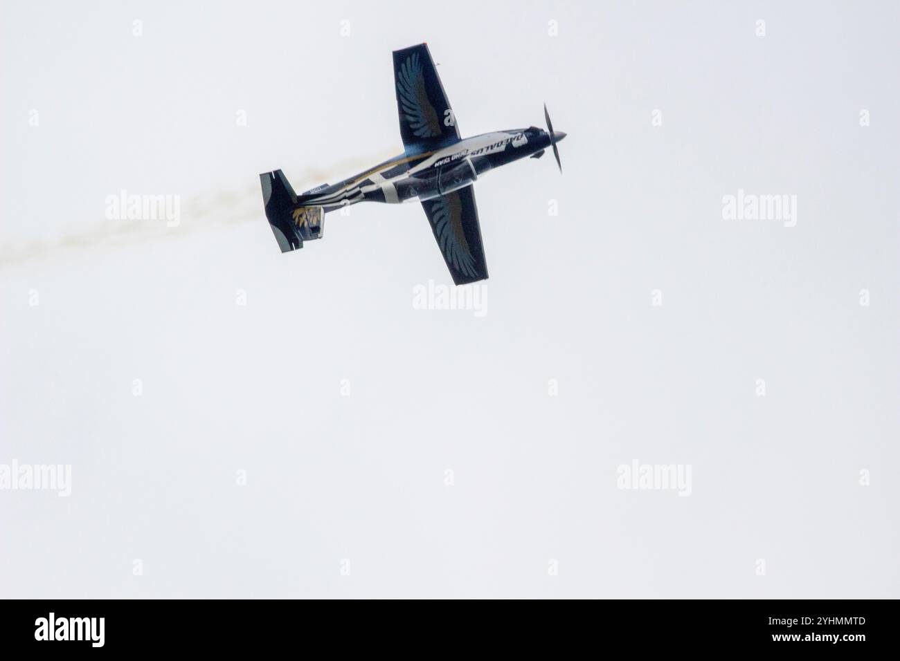 Daedalus Beechcraft T-6 Texan II is a single-engine turboprop aircraft ...