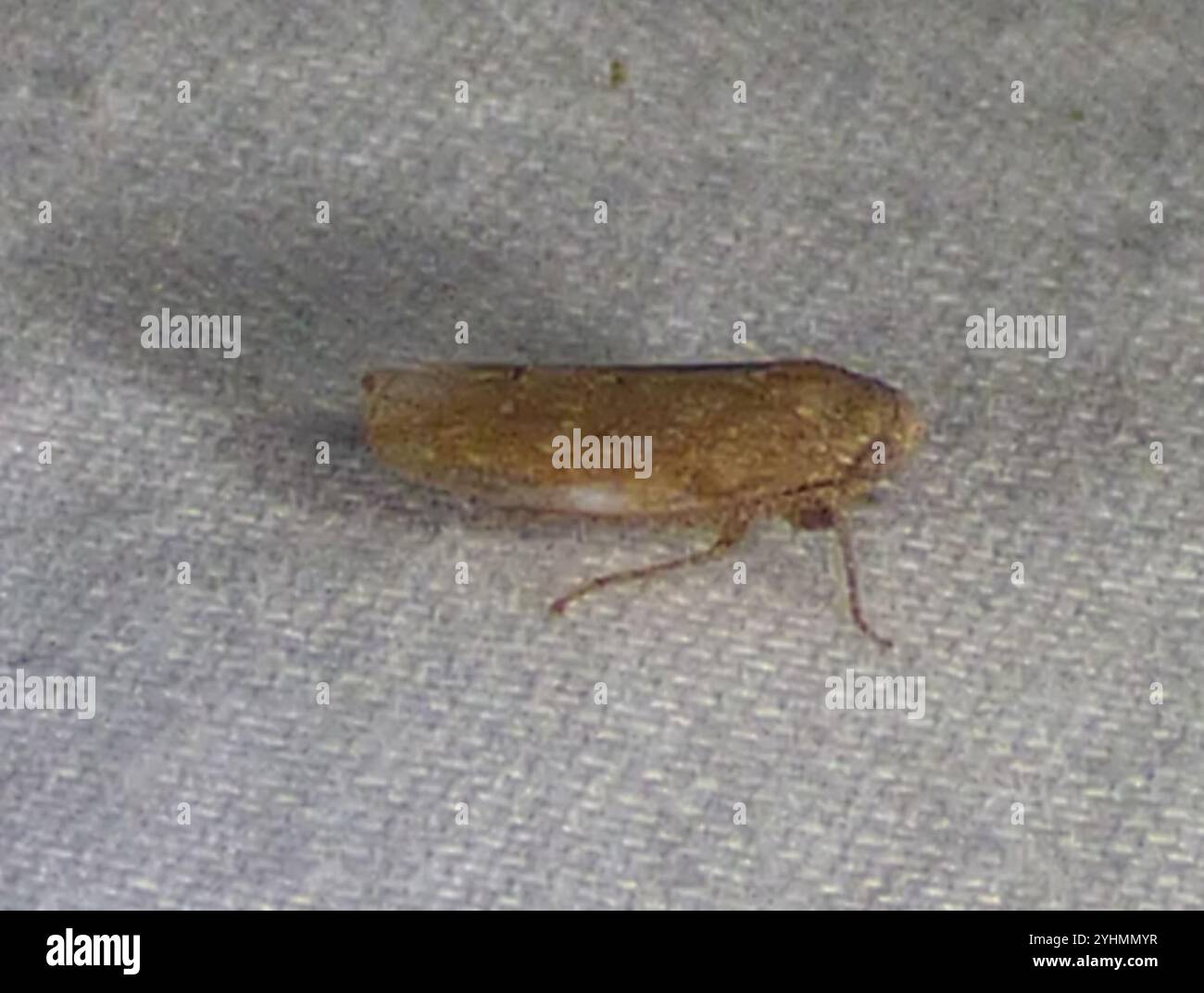 Continuus hi-res stock photography and images - Alamy