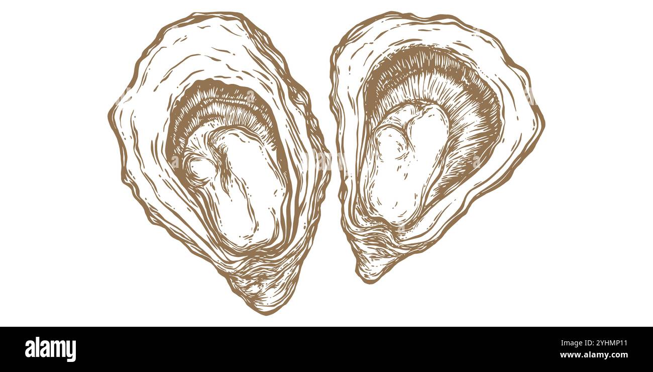 Oyster, seafood. Vintage retro print, seafood Stock Vector Image & Art ...