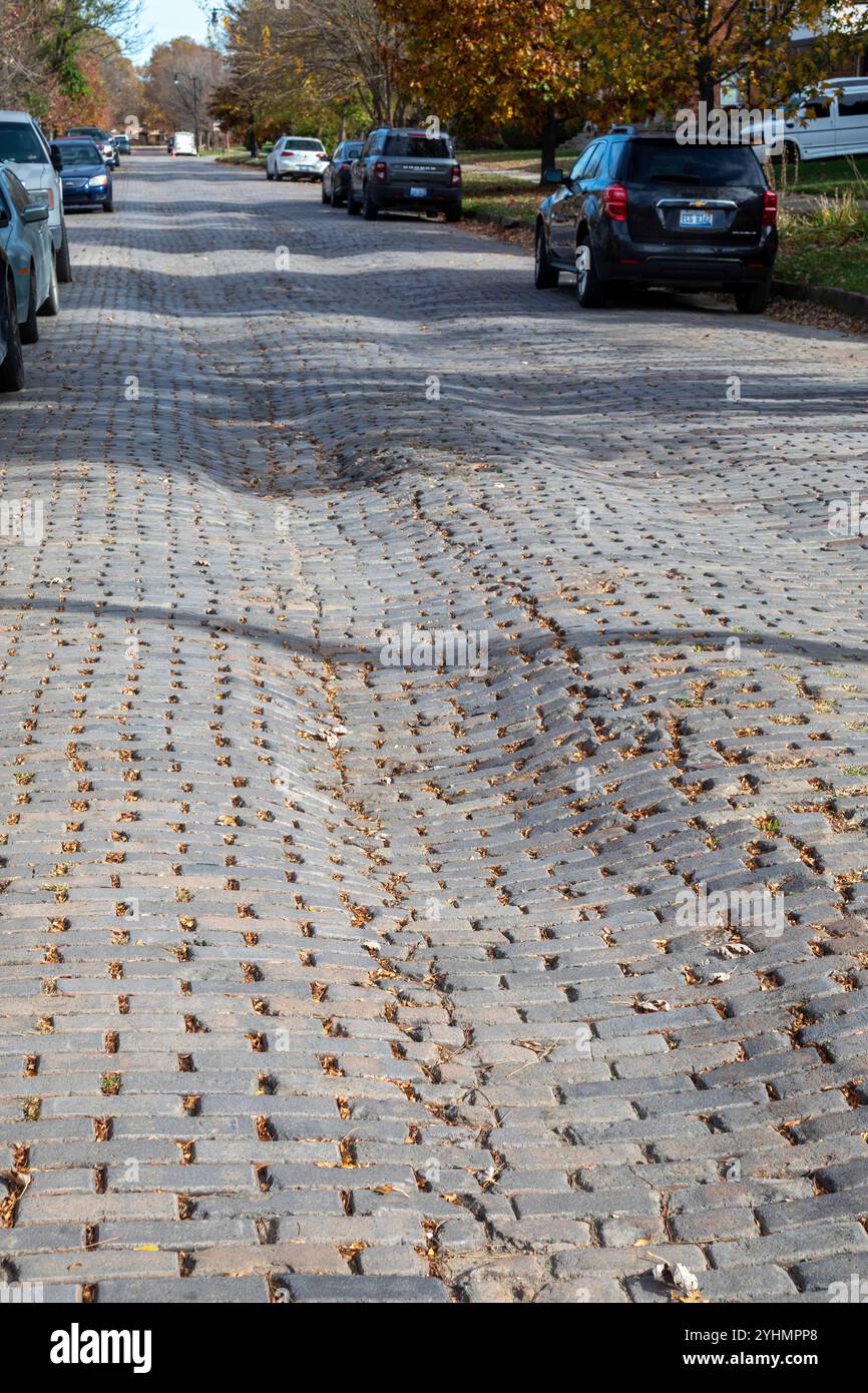 Detroit, Michigan - Deep ruts in historic brick-paved Virginia Park ...