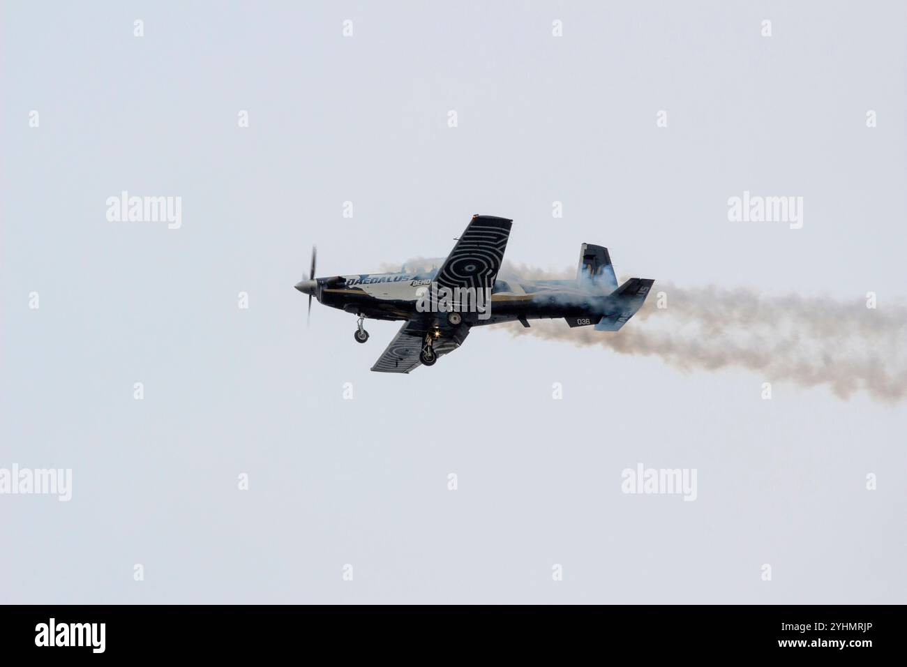 Daedalus Beechcraft T-6 Texan II is a single-engine turboprop aircraft ...