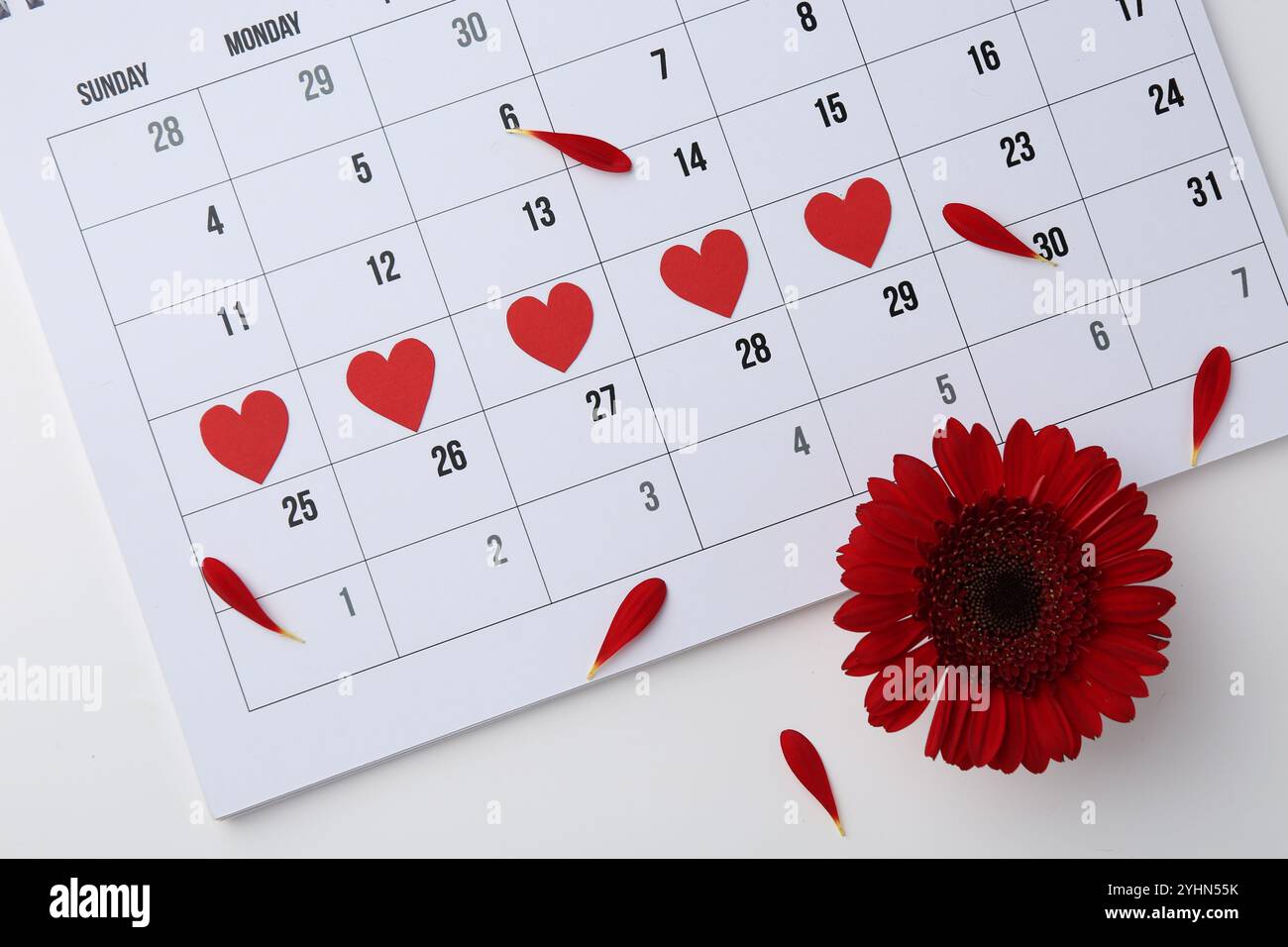 Menstruation. Calendar with marked dates and red flower white ...
