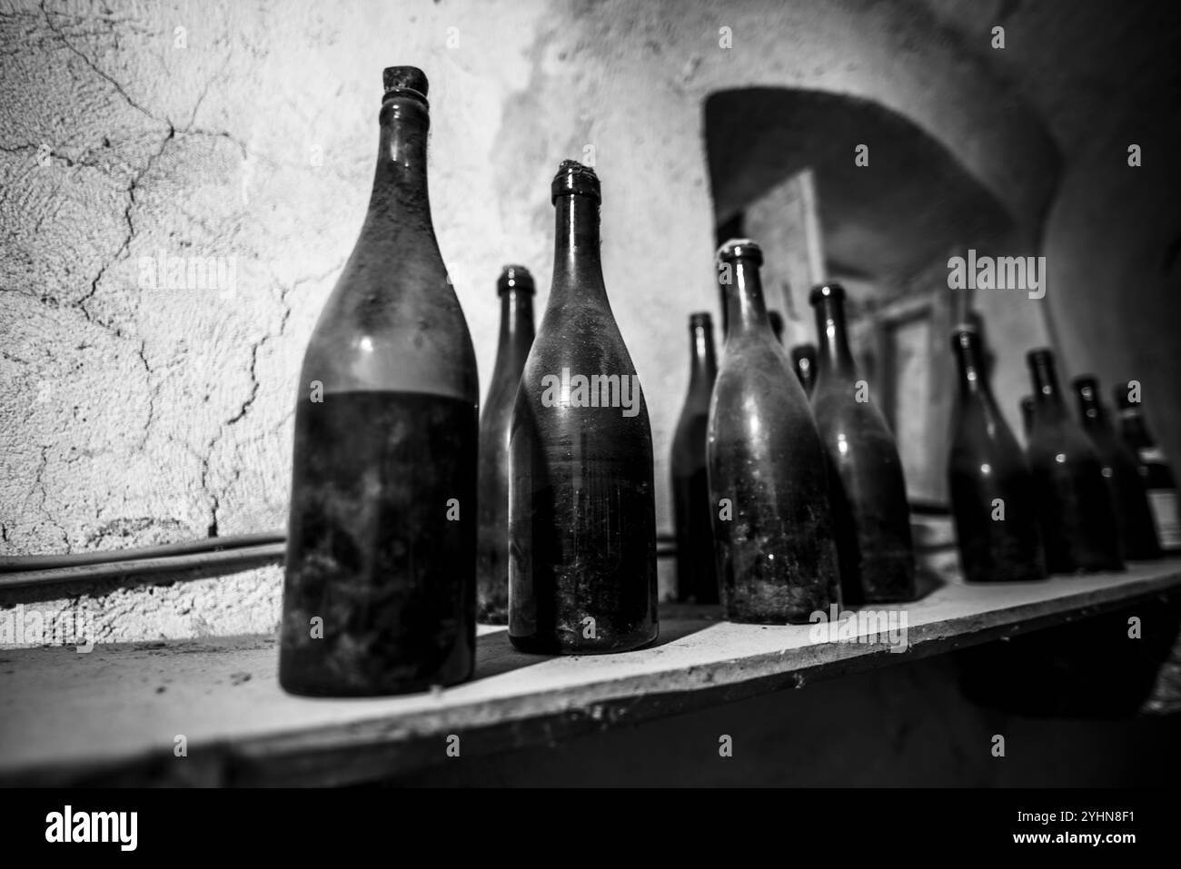 closed antique wine bottles in an old cellar with dust and cobwebs ...